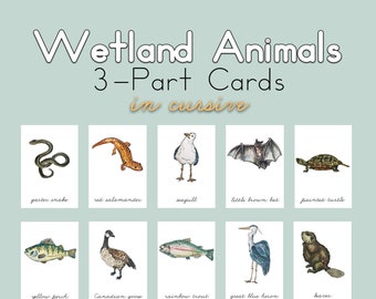 Farm Animals 3 Part Cards Montessori Homeschool Reggio | Etsy