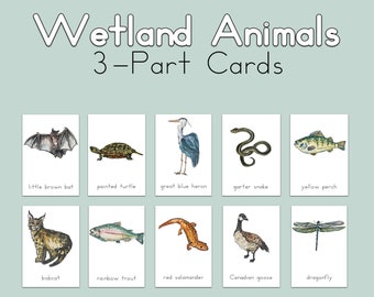 Farm Animals 3 Part Cards, Montessori, Homeschool, Reggio Emilia ...
