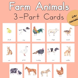 Arctic Animals Cursive 3 Part Cards, Montessori, Homeschool, Reggio ...