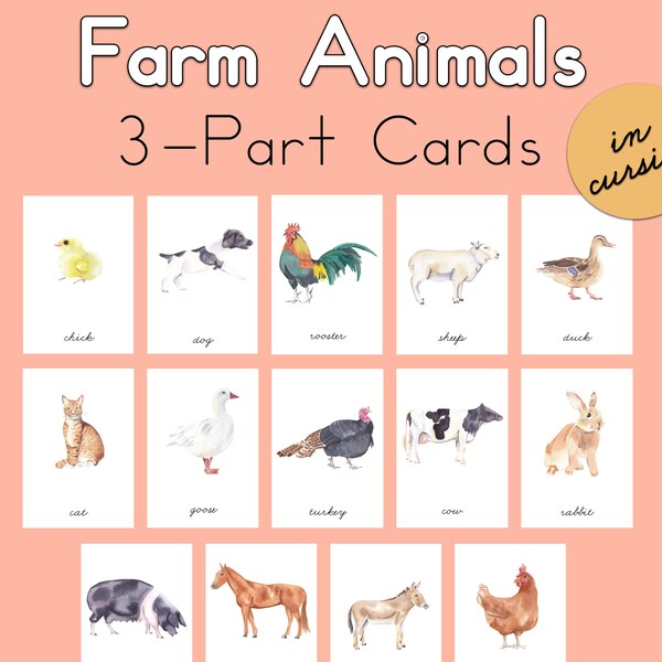 Arctic Animals Cursive 3 Part Cards, Montessori, Homeschool, Reggio ...