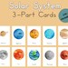 Wetland Animals 3 Part Cards, Montessori, Homeschool, Reggio Emilia ...