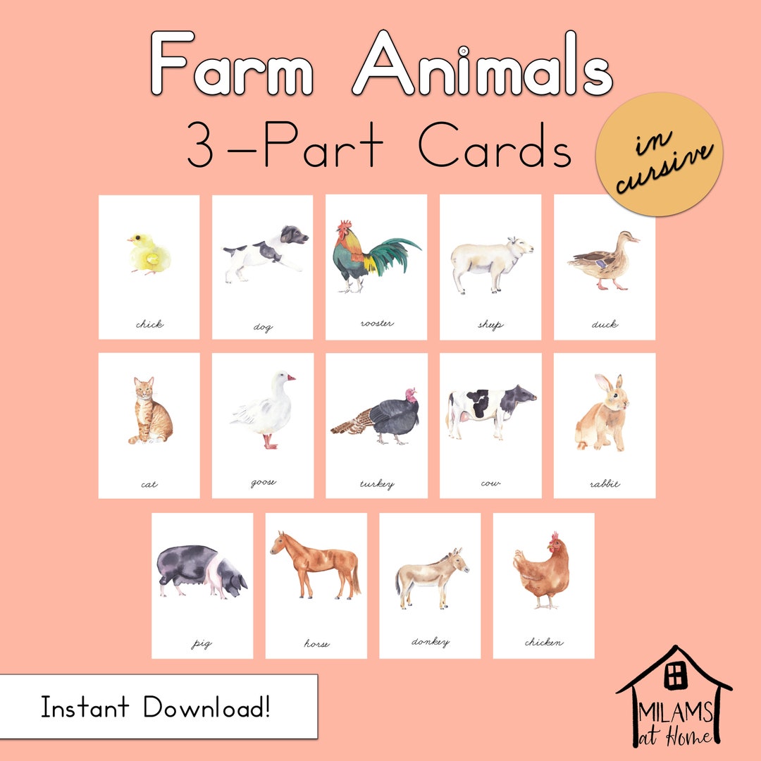 Farm Animals Cursive 3 Part Cards, Montessori, Homeschool, Charlotte ...