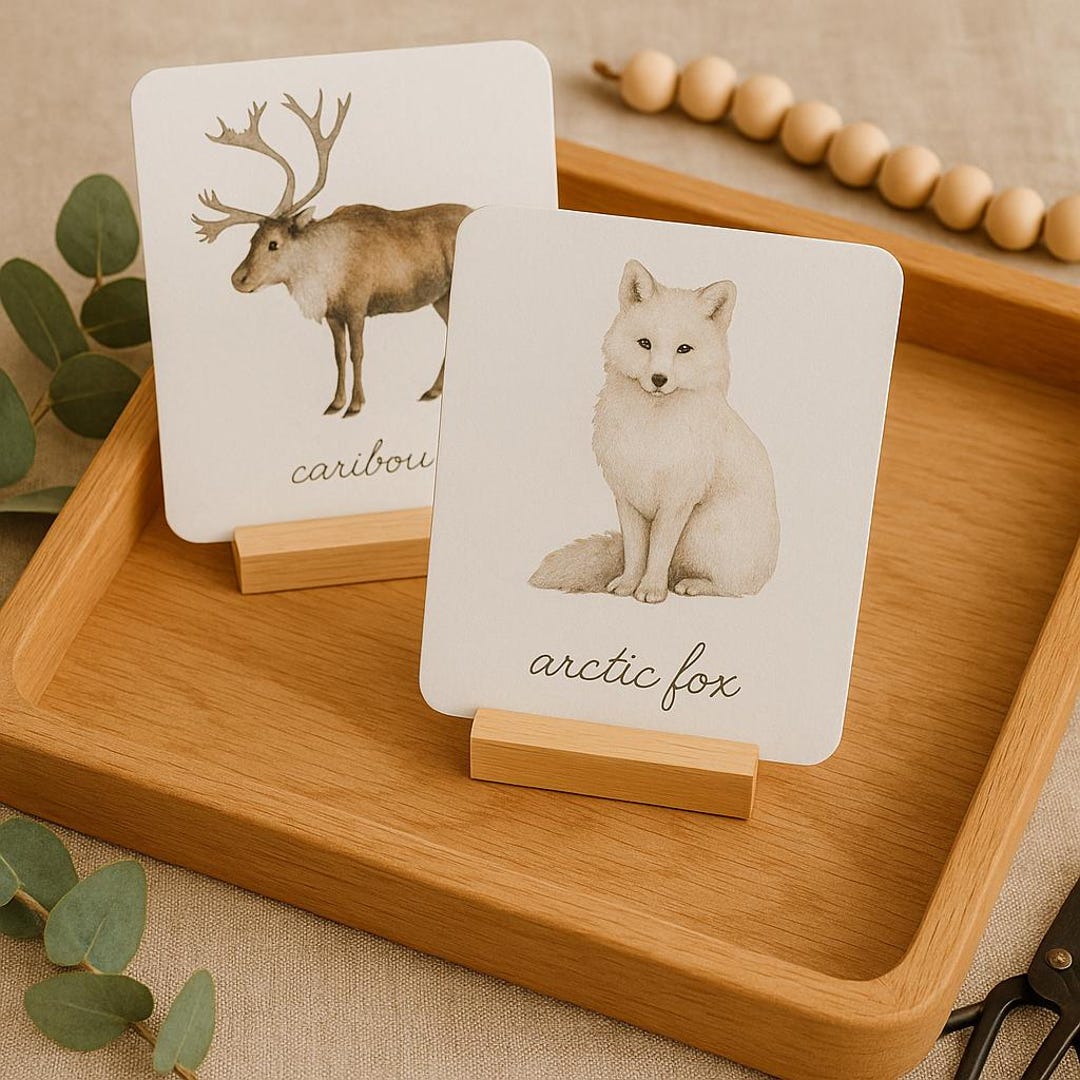 Arctic Animal 3-part Cards – Montessori Nature Study Printable ...