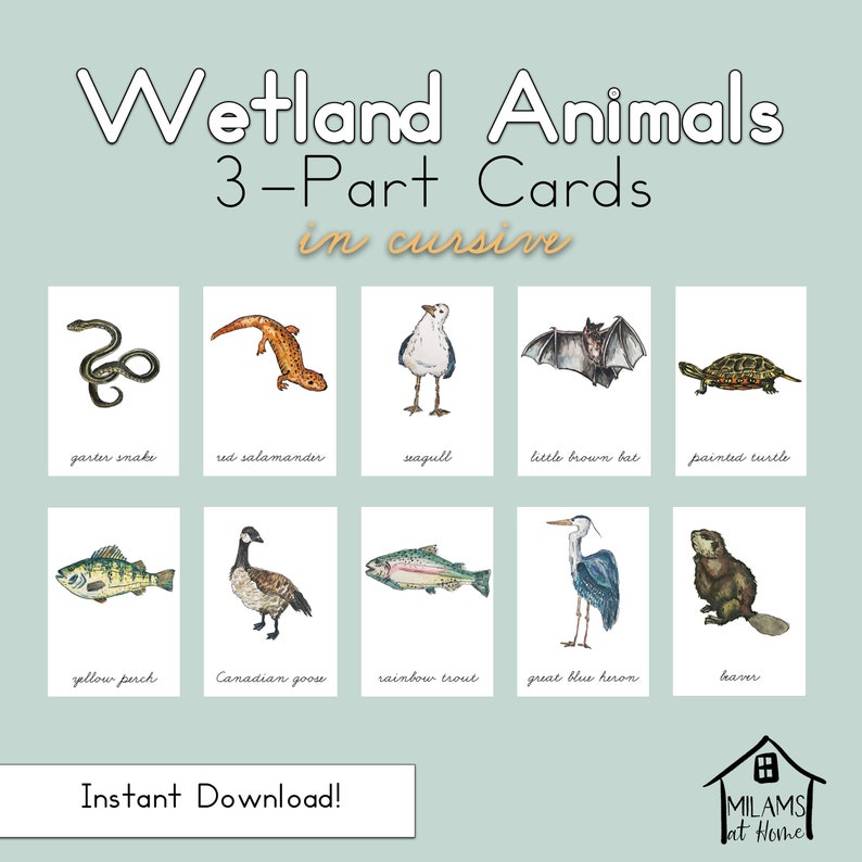 Wetland Animals 3 Part Cards, Montessori, Homeschool, Reggio Emilia ...