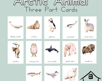 Landform Cursive 3 Part Cards Montessori Homeschool Reggio | Etsy