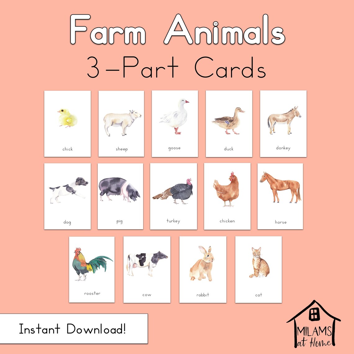 Farm Animals 3 Part Cards, Montessori, Homeschool, Reggio Emilia ...