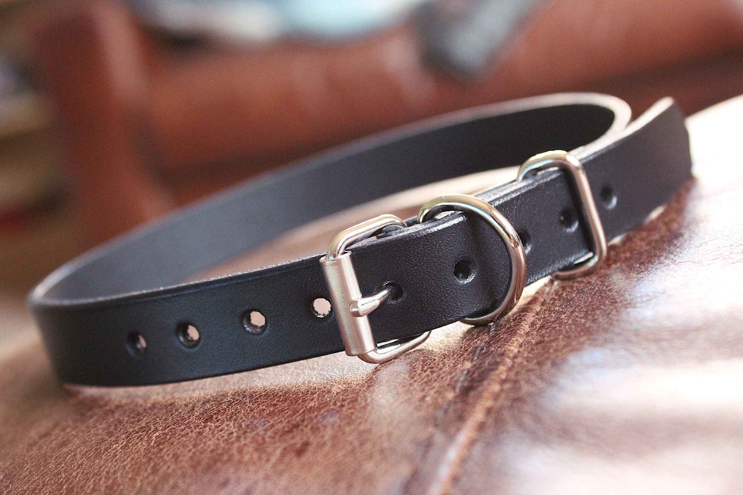 Human Dog Collar