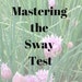 Mastering the Sway Test: Muscle Testing Book 1, Applied Kinesiology ...