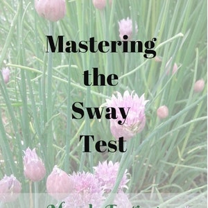 Mastering the Sway Test: Muscle Testing Book 1, Applied Kinesiology ...