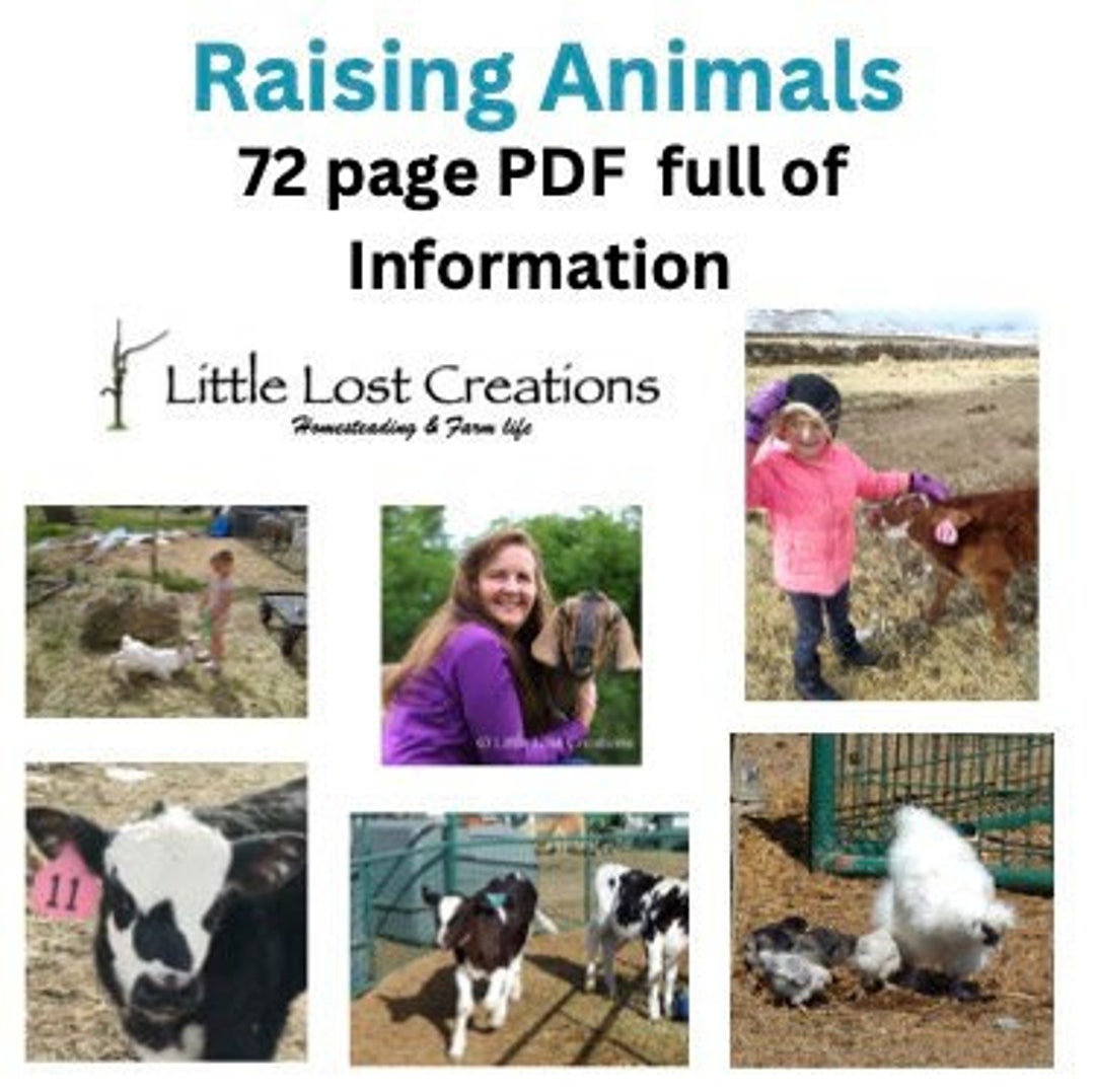 Tips From My Blog for Raising Farm Animals, Goats, Bottle Calves, Beef ...