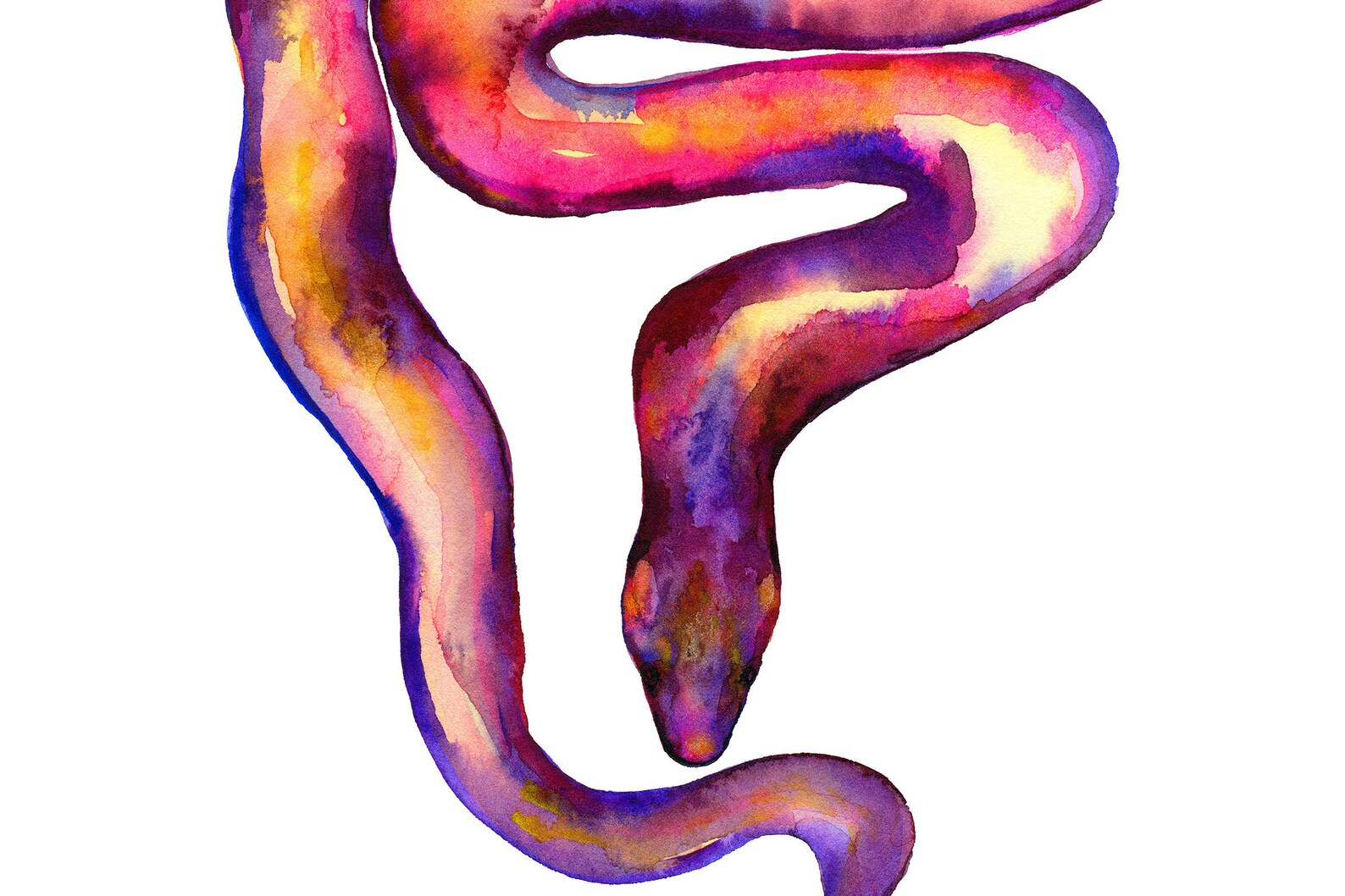 Watercolor Snake Snake Art | Etsy