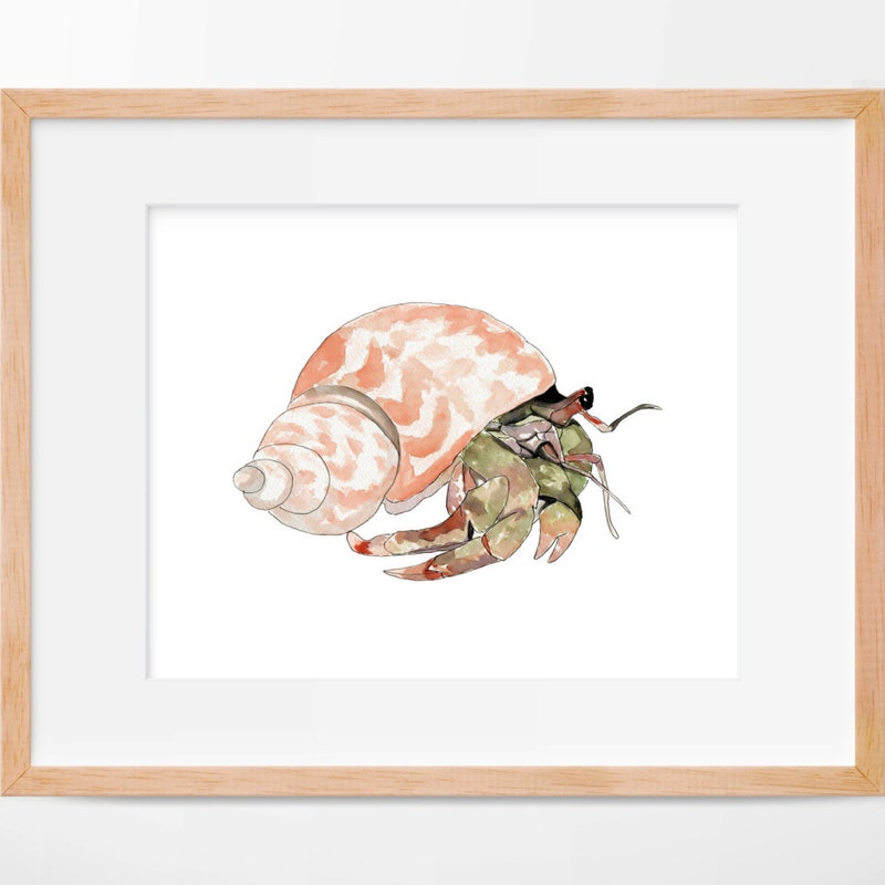 Watercolor Crab - Etsy
