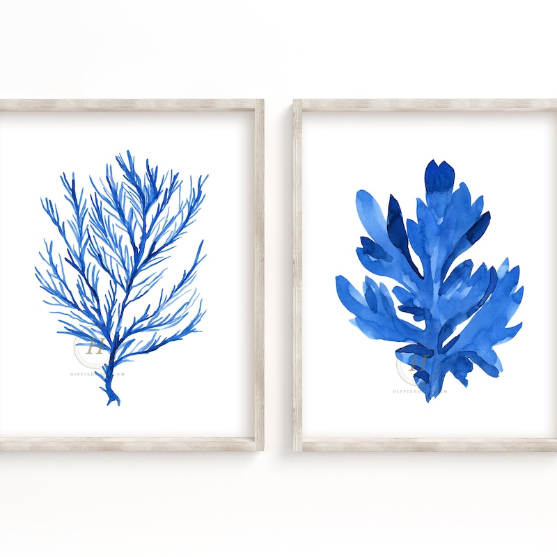 Coral Print - Etsy