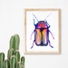 Watercolor Beetle Print - Etsy