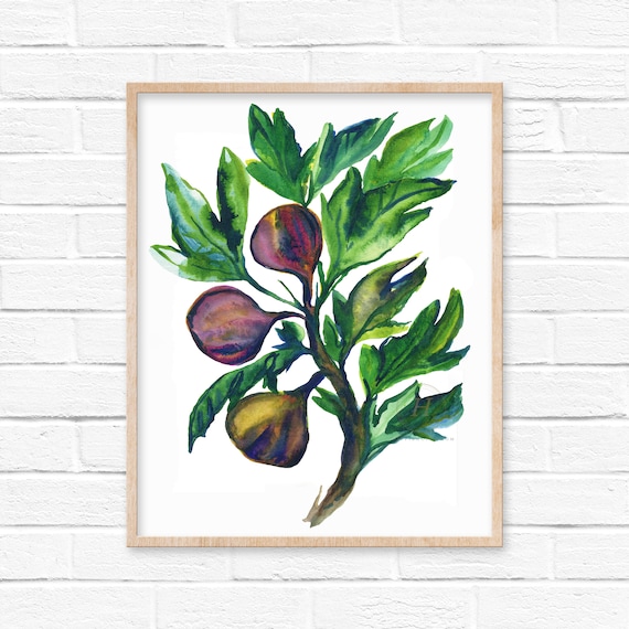 Fig Tree Watercolor Print by Hippiehoppy - Etsy