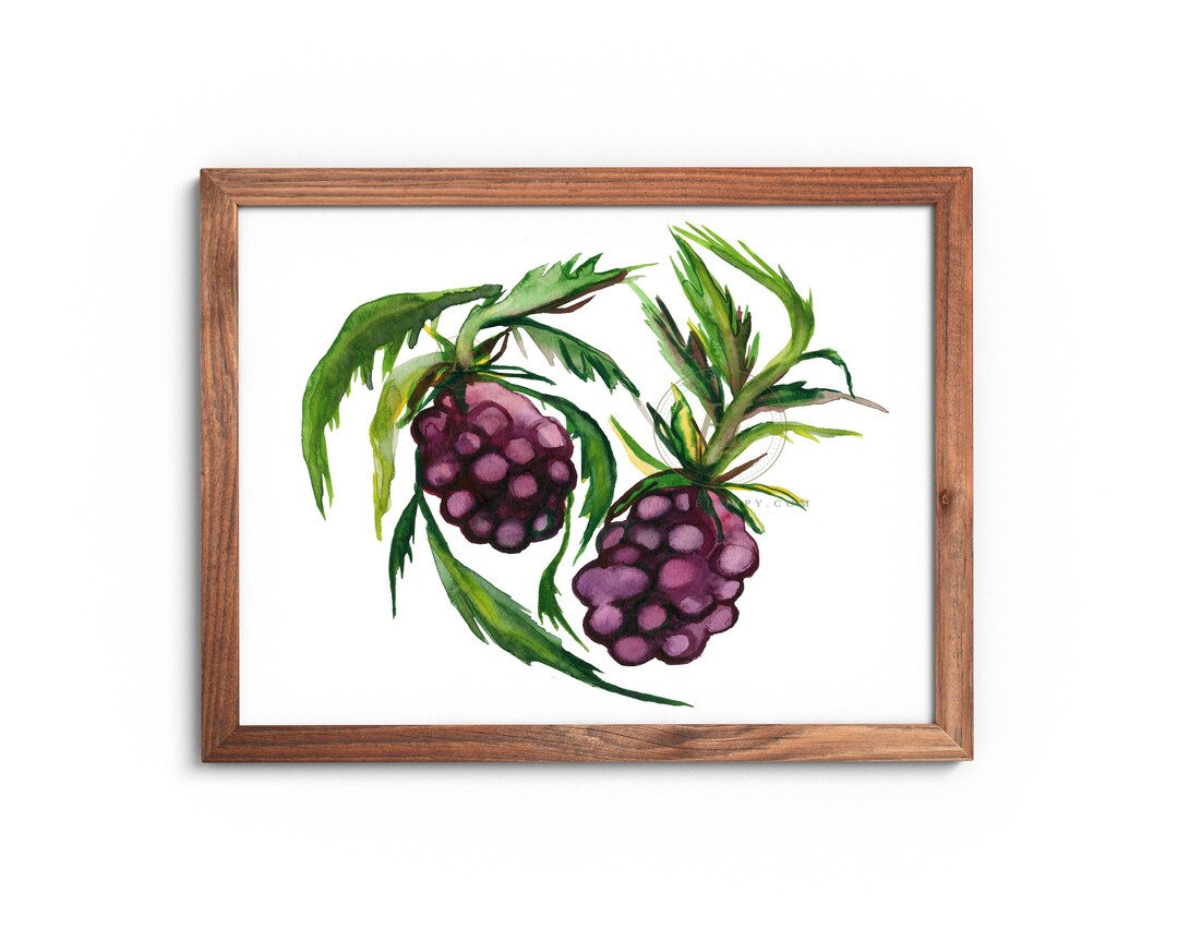 Raspberry Wall Art, Watercolor Print - Etsy