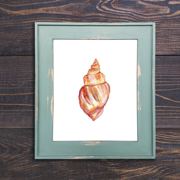 Shell Watercolor - Etsy