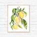Fruit Set of 2 Watercolor Prints - Etsy
