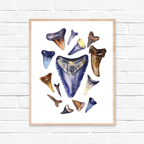 Bull Shark Tooth Watercolor Art Print No. 6 Minimalist Beach - Etsy