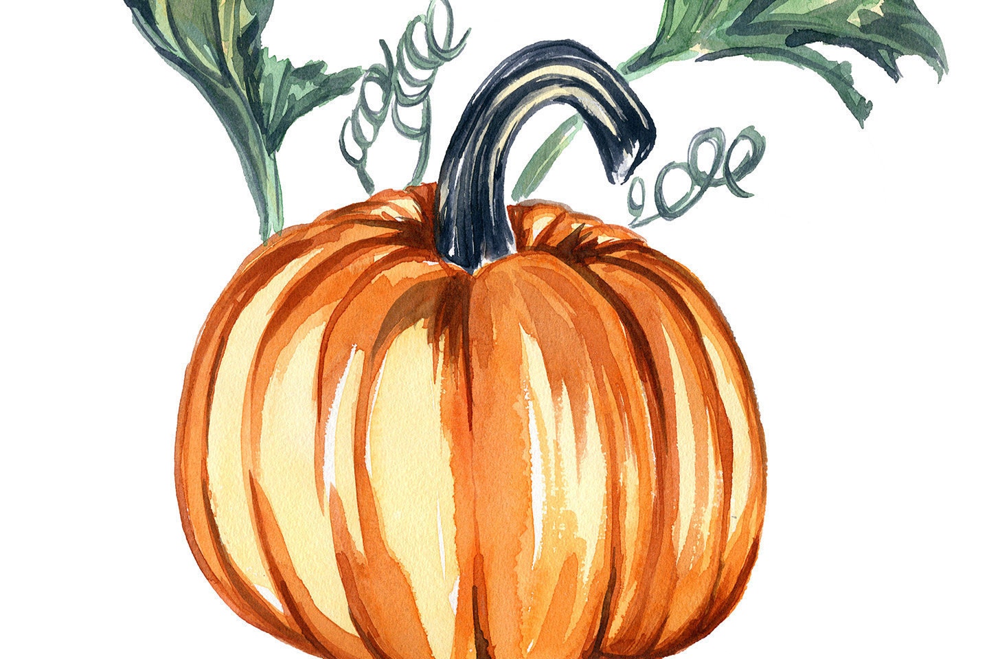 Pumpkin Watercolor Print pumpkin-watercolor-print