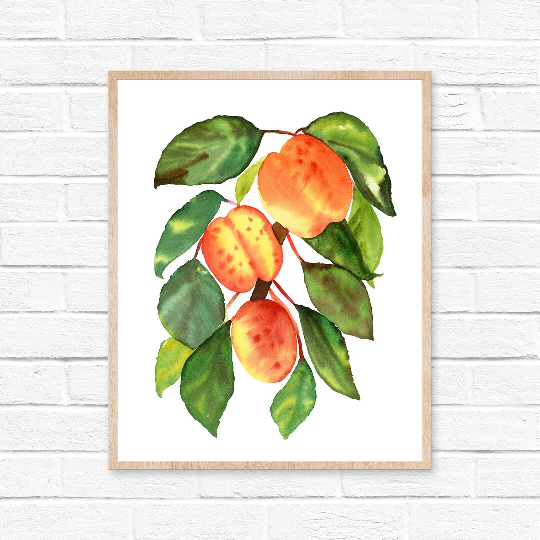 Peach Watercolor Print - Etsy