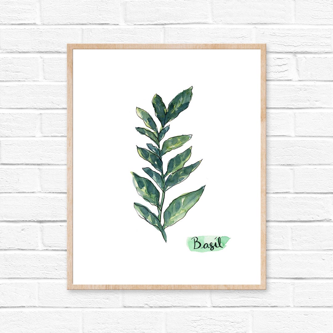 Basil Watercolor Print - Etsy