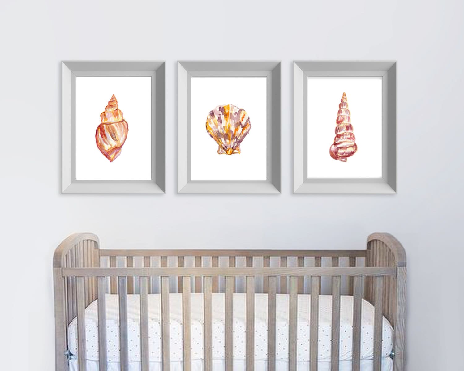 Shell Set of 3 Watercolor Print | Etsy