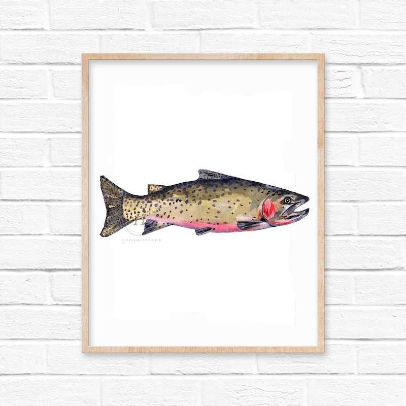 Trout Print - Etsy