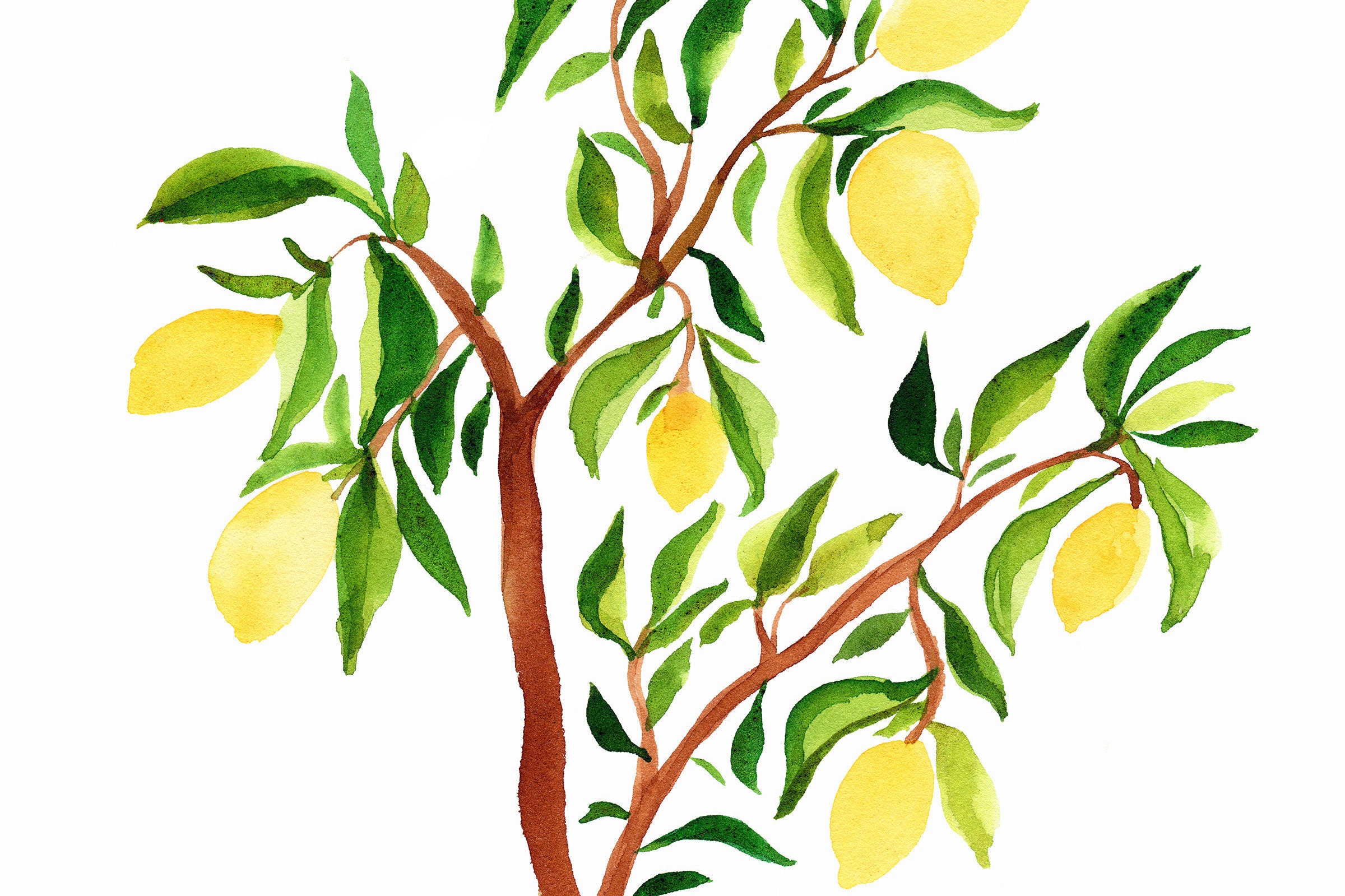 Lemon Tree Lemon Watercolor Lemons Yellow Watercolor Painting - Etsy