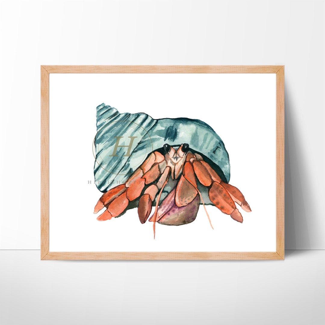Hermit Crab Watercolor Print - Etsy