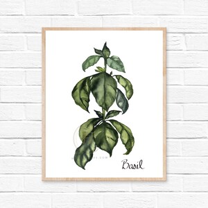 Herbs Kitchen Decor, Basil Print - Etsy