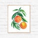 Orange Watercolor Print - Etsy