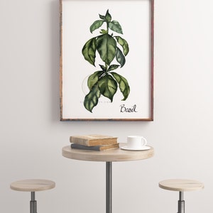 Herbs Kitchen Decor, Basil Print - Etsy