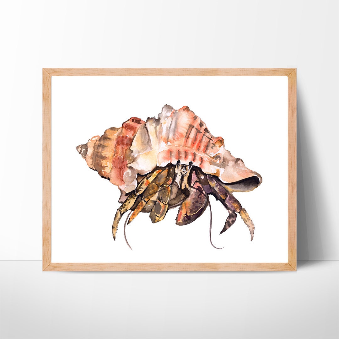 Hermit Crab Watercolor Print - Etsy