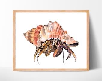 Hermit Crab Watercolor Painting Print From Original Watercolor Painting ...