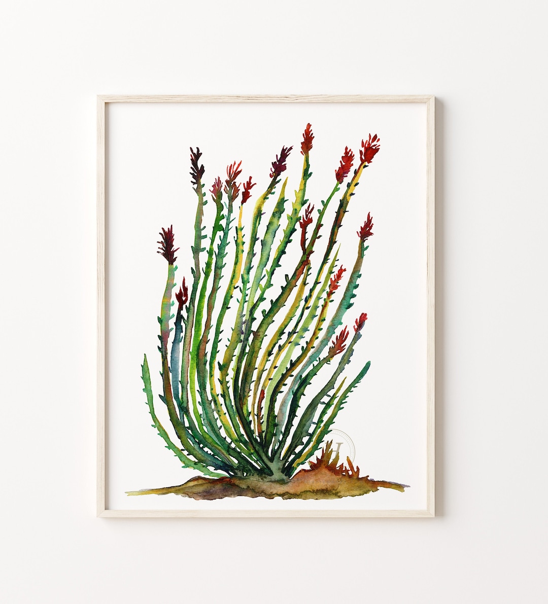 Ocotillo Cactus Watercolor Painting Print, Artwork - Etsy