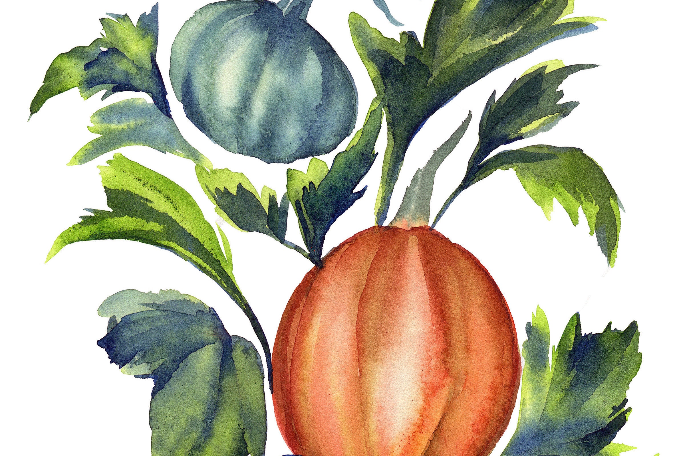 Pumpkin Watercolor Print pumpkin-watercolor-print