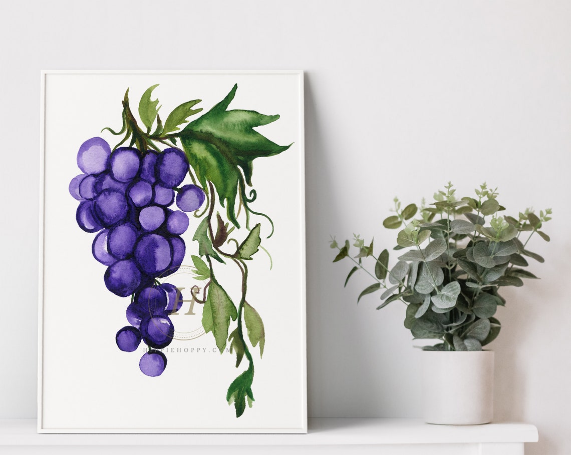 Grapes Watercolor Print | Etsy