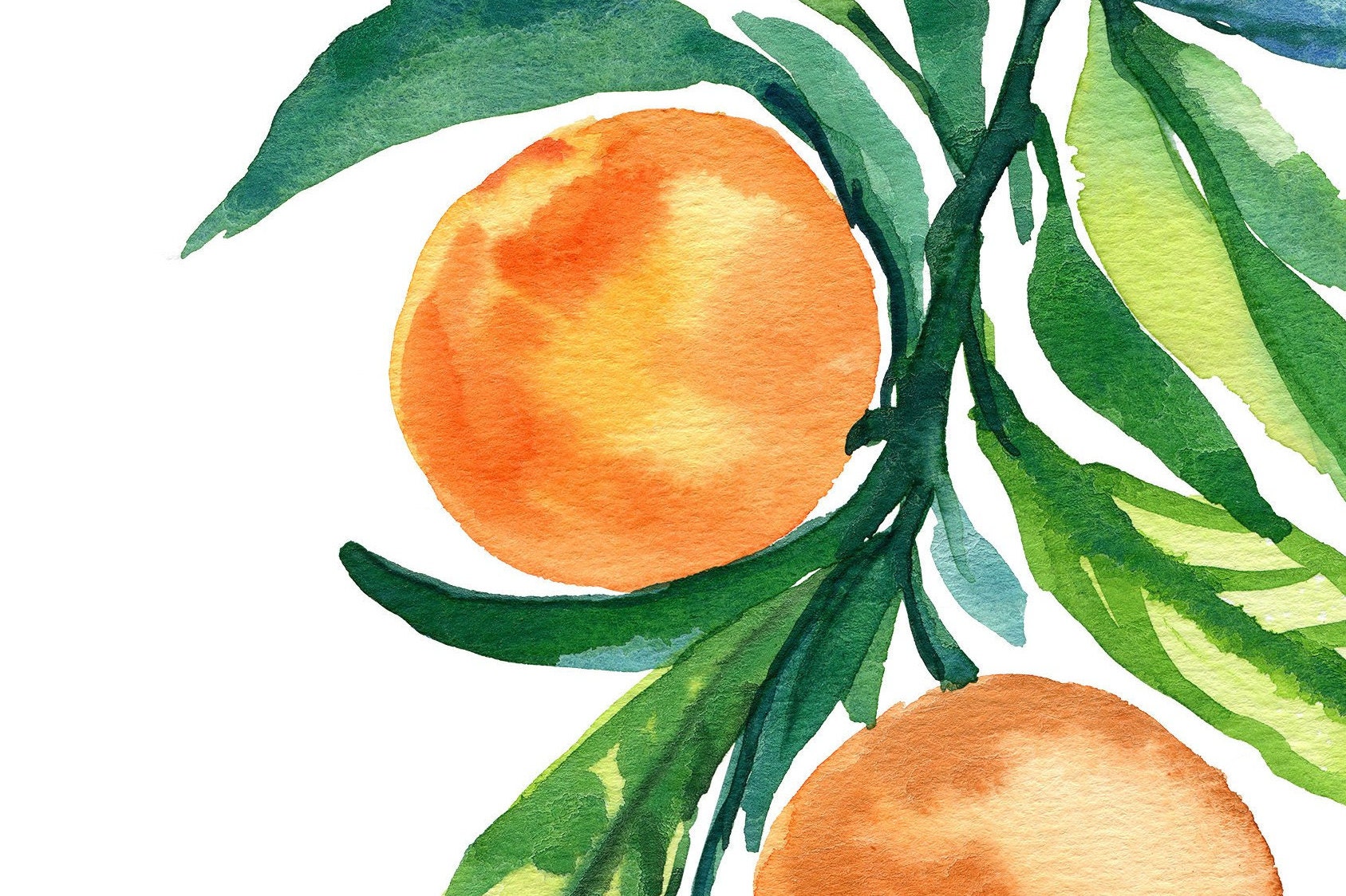 Tangerine Orange Watercolor Print | Etsy