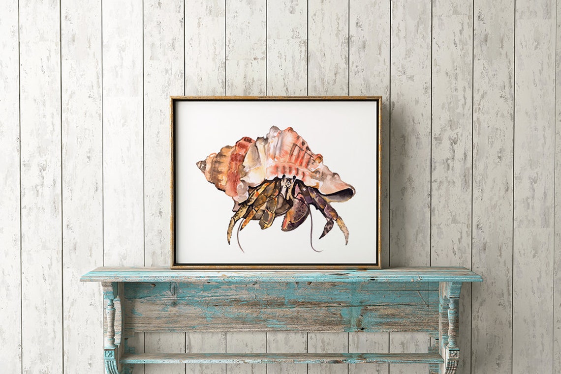 Hermit Crab Watercolor Print - Etsy