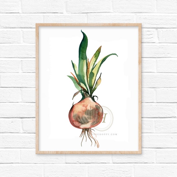 Onion Watercolor Print Vegetable Art | Etsy