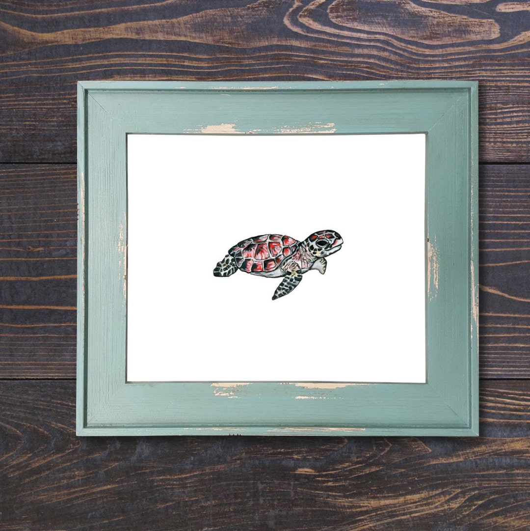 Small Sea Turtle Watercolor Print - Etsy