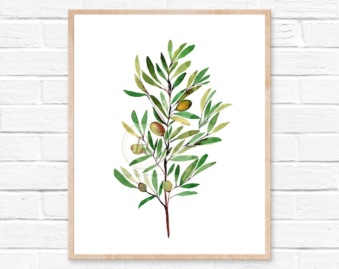 Olive Branch Watercolor Print - Etsy