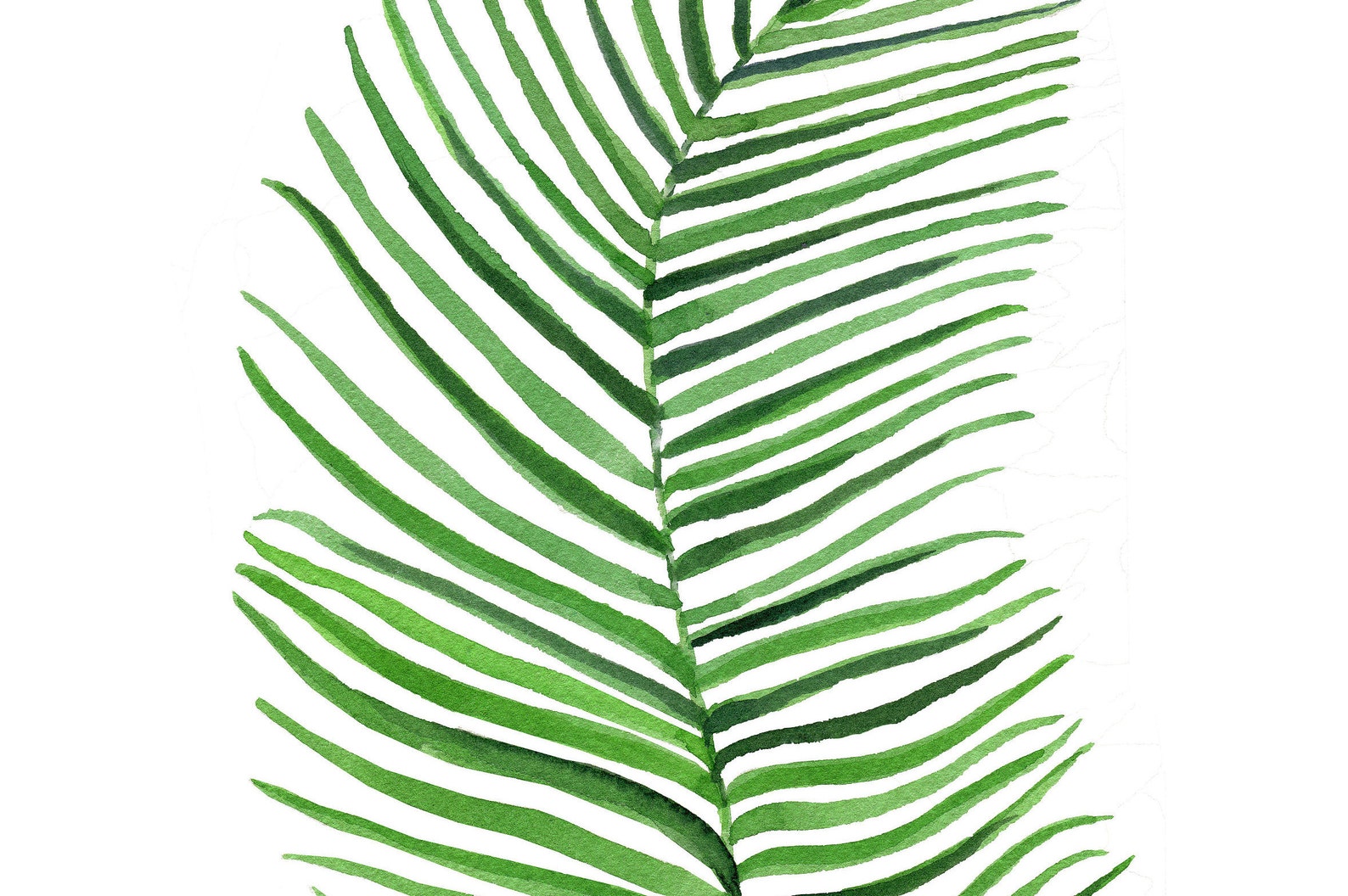 Watercolor Palm Print - Etsy
