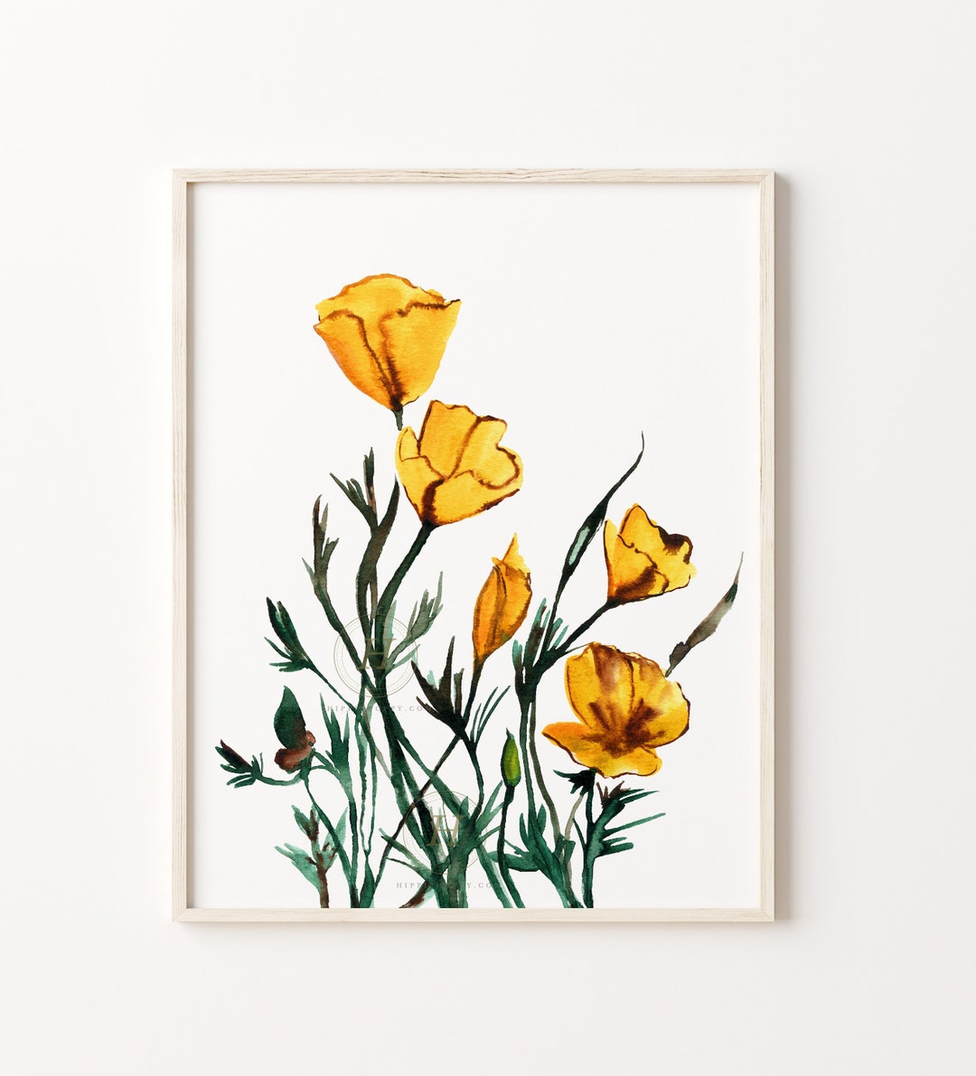 CALIFORNIA POPPIES Watercolor Print by Crystal Cortez Wildflowers ...