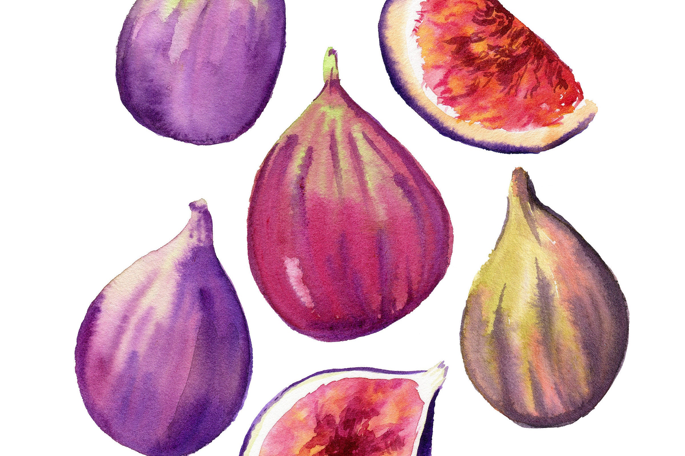 Watercolor Fig Print - Etsy