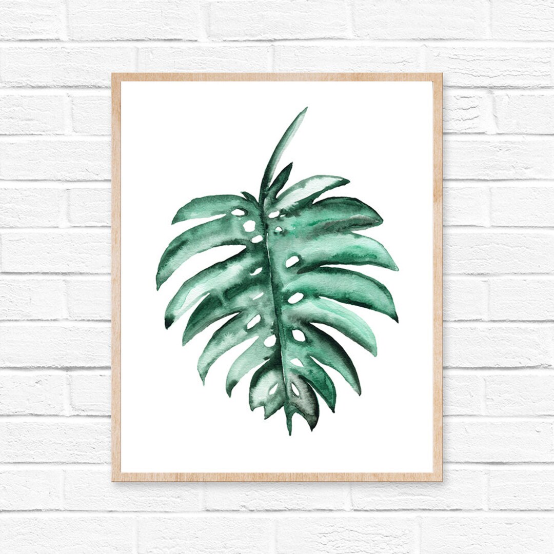 Monstera Deliciosa Art Print - Etsy