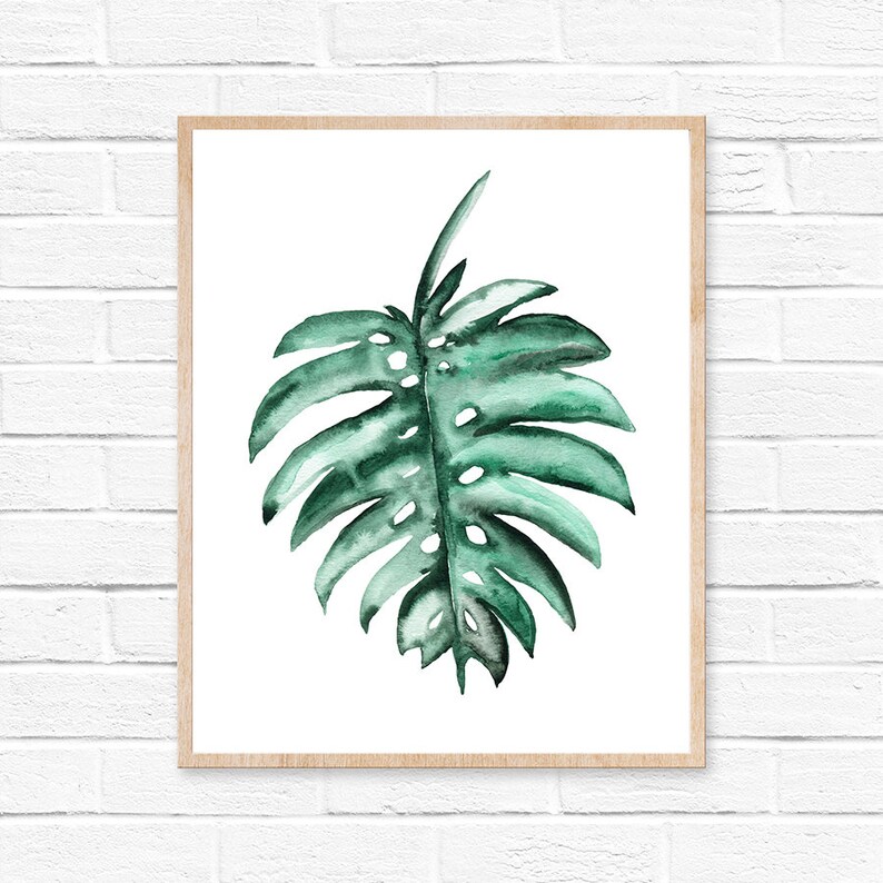 Monstera Deliciosa art print | Etsy