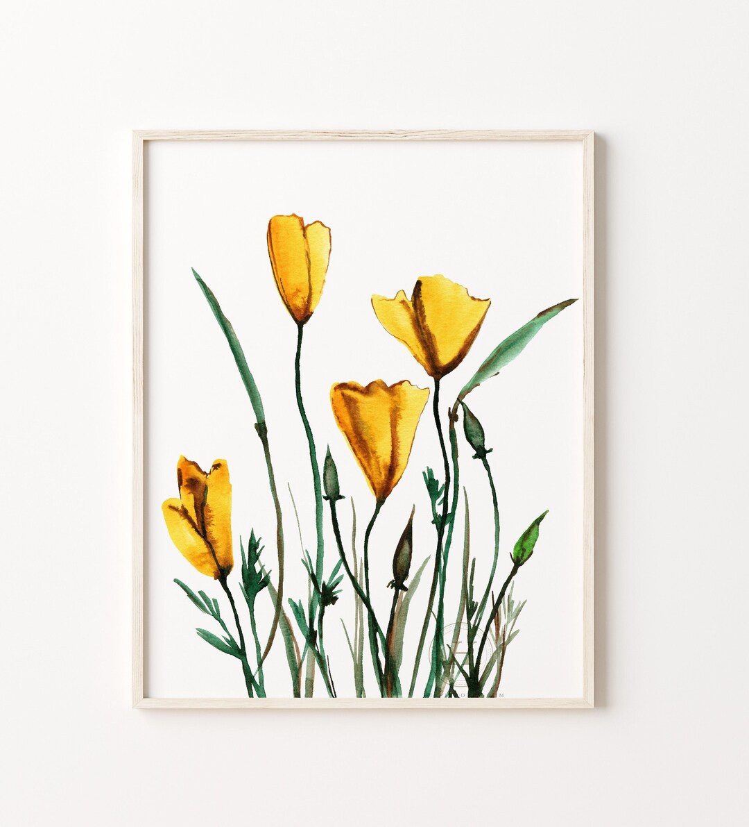 CALIFORNIA POPPY Watercolor Print by Crystal Cortez Wildflowers ...