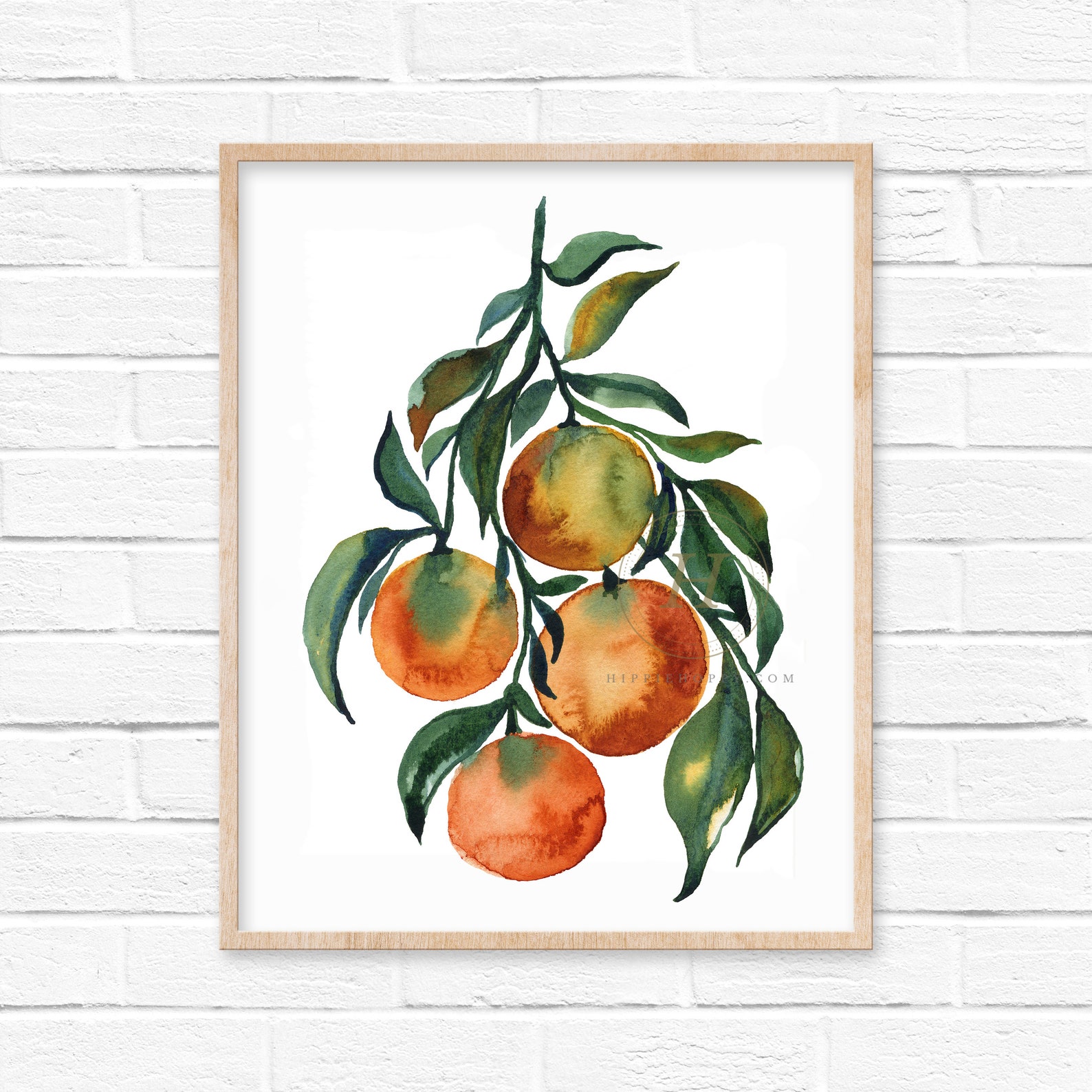 Watercolor Oranges Print - Etsy